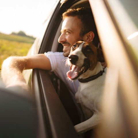 Dealers - Cinch Auto Finance